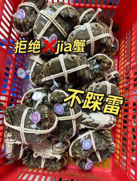 正宗阳澄湖大闸蟹怎么挑选_阳澄湖大闸蟹价格多少钱-第2张图片-山城妙识