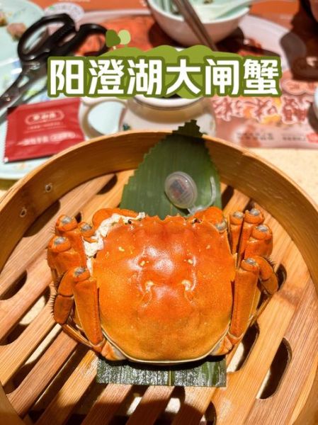 正宗阳澄湖大闸蟹怎么挑选_阳澄湖大闸蟹价格多少钱-第3张图片-山城妙识