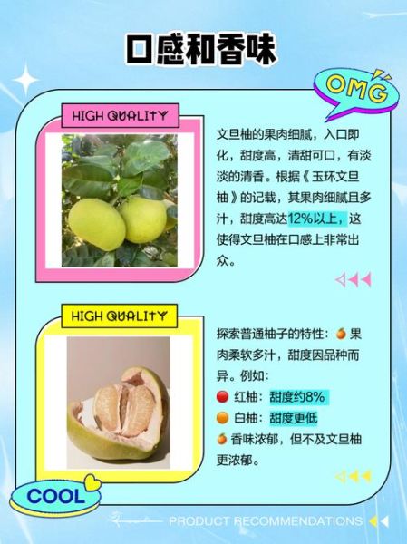 文旦柚怎么挑选_文旦柚和蜜柚的区别-第1张图片-山城妙识 文旦柚怎么挑选_文旦柚和蜜柚的区别-第1张图片-山城妙识