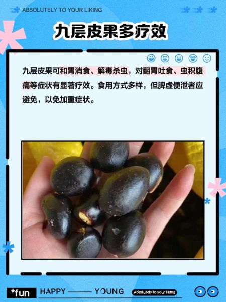 九层皮果的功效与作用_九层皮果怎么吃效果最好-第1张图片-山城妙识