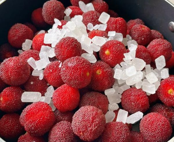 晒杨梅干怎么做_自制杨梅干保存多久-第1张图片-山城妙识