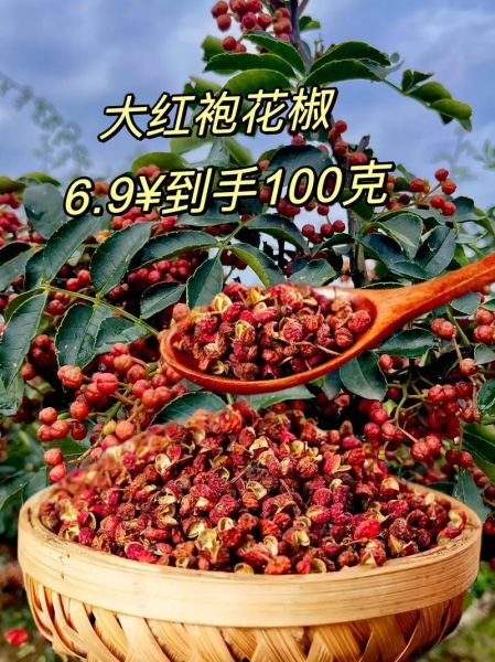 大红袍花椒多少钱一斤_正宗大红袍花椒价格行情-第2张图片-山城妙识