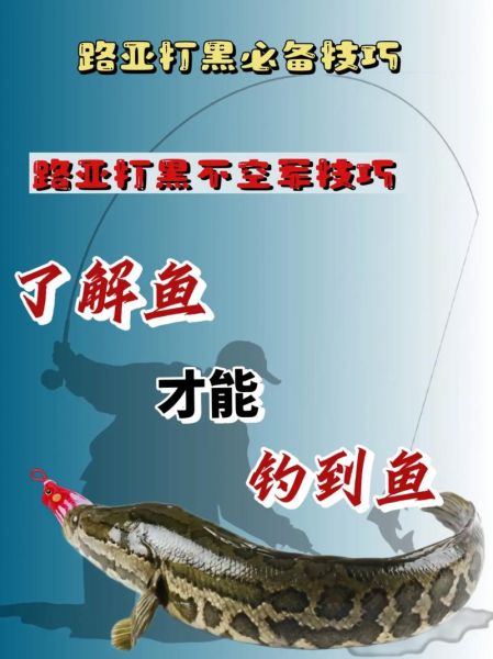路亚黑鱼用什么饵_路亚黑鱼最佳时间-第1张图片-山城妙识 路亚黑鱼用什么饵_路亚黑鱼最佳时间-第1张图片-山城妙识