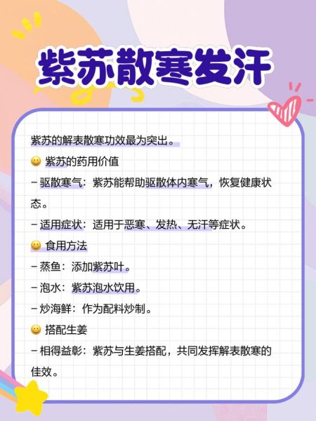 苏子叶和紫苏叶的区别_哪个更适合入菜-第3张图片-山城妙识