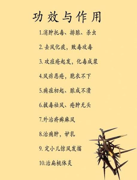 皂角刺治腰间盘突出怎么用_皂角刺外敷配方-第1张图片-山城妙识