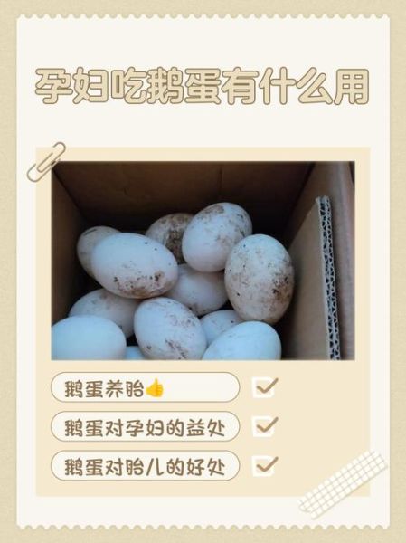 吃鹅蛋有什么好处和坏处_孕妇能吃吗-第1张图片-山城妙识