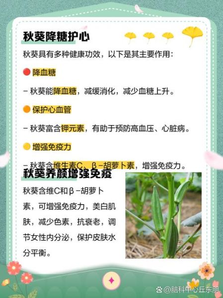 秋葵视频男人_女人美容秘诀有哪些-第1张图片-山城妙识 秋葵视频男人_女人美容秘诀有哪些-第1张图片-山城妙识