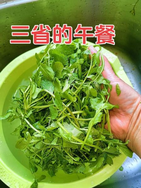 野生荠菜怎么吃_野生荠菜的吃法大全-第1张图片-山城妙识