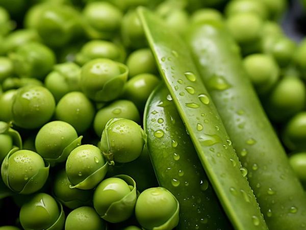 豌豆荚下载官网_豌豆荚怎么下载安装-第1张图片-山城妙识