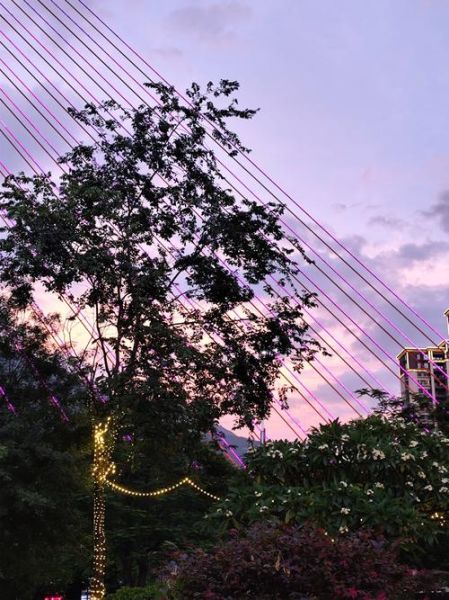 鸡蛋花中药材的功效与作用_鸡蛋花泡水喝的禁忌-第3张图片-山城妙识