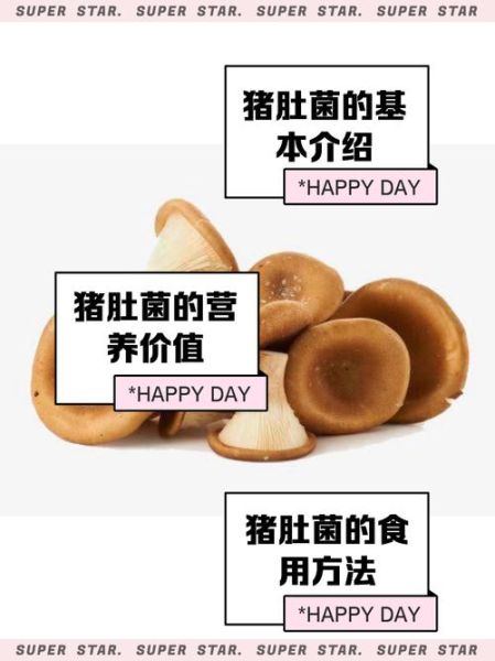 猪肚菌怎么做好吃_猪肚菌的做法大全-第1张图片-山城妙识