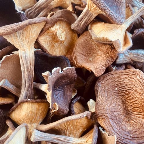 猪肚菌怎么做好吃_猪肚菌的做法大全-第3张图片-山城妙识