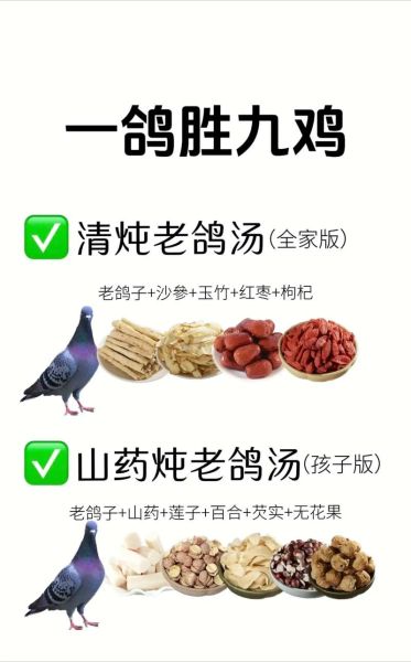 简单炖鸽子汤的做法_鸽子汤怎么炖最营养-第3张图片-山城妙识