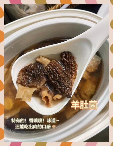 羊肚菌怎么吃最好_羊肚菌最佳吃法-第3张图片-山城妙识 羊肚菌怎么吃最好_羊肚菌最佳吃法-第3张图片-山城妙识