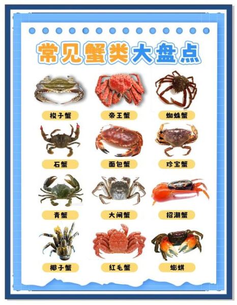 蟹的种类与图片大全_如何分辨常见蟹类-第1张图片-山城妙识