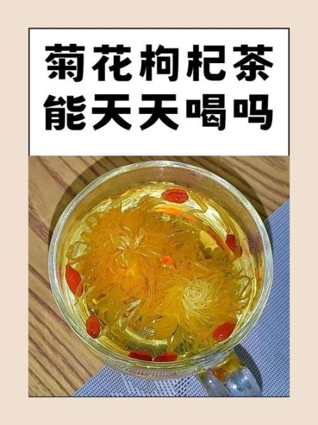 菊花枸杞茶可以天天喝吗_菊花枸杞茶的功效与禁忌-第1张图片-山城妙识 菊花枸杞茶可以天天喝吗_菊花枸杞茶的功效与禁忌-第1张图片-山城妙识