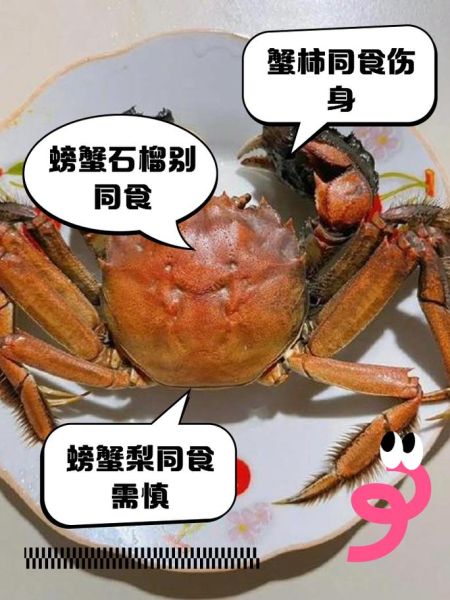 吃螃蟹不能吃什么水果_吃螃蟹的禁忌水果有哪些-第3张图片-山城妙识 吃螃蟹不能吃什么水果_吃螃蟹的禁忌水果有哪些-第3张图片-山城妙识
