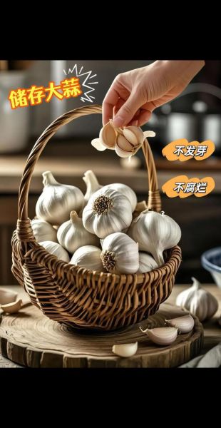 大蒜怎么长期保存_大蒜放冰箱能保存多久-第1张图片-山城妙识