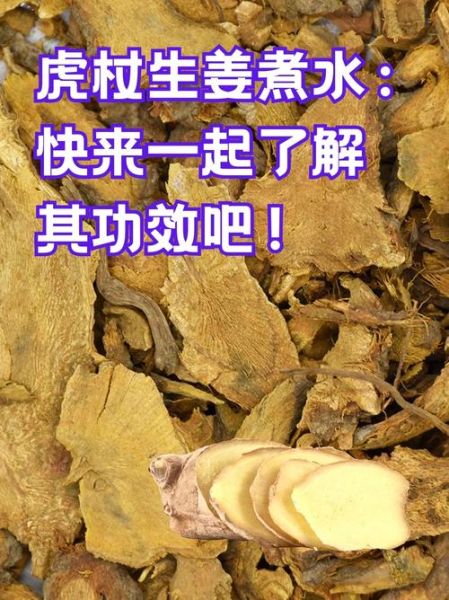 虎杖的功效与作用及食用方法_虎杖怎么吃效果最好-第1张图片-山城妙识 虎杖的功效与作用及食用方法_虎杖怎么吃效果最好-第1张图片-山城妙识