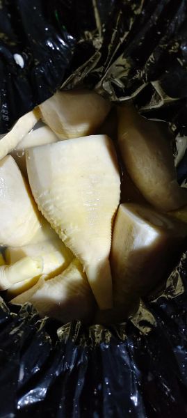 冬笋怎么挑选_冬笋高清图细节解析-第3张图片-山城妙识 冬笋怎么挑选_冬笋高清图细节解析-第3张图片-山城妙识