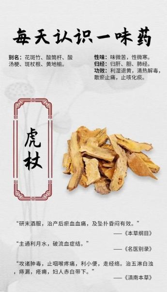 虎杖的功效与作用及食用方法_虎杖怎么吃效果最好-第3张图片-山城妙识 虎杖的功效与作用及食用方法_虎杖怎么吃效果最好-第3张图片-山城妙识