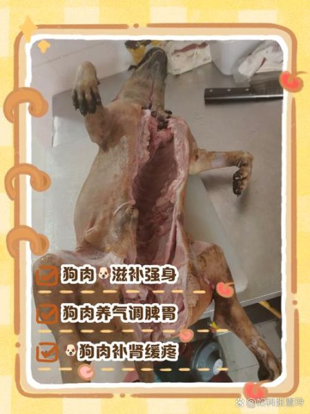 狗肉是发物吗_术后能吃狗肉吗-第1张图片-山城妙识