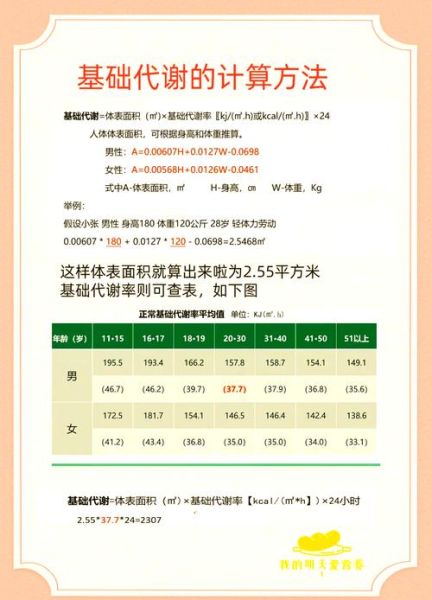 如何提高基础代谢率_基础代谢率计算公式-第3张图片-山城妙识