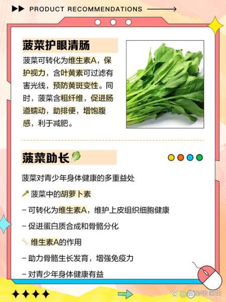 菠菜的功效与作用_什么人不能吃菠菜-第1张图片-山城妙识