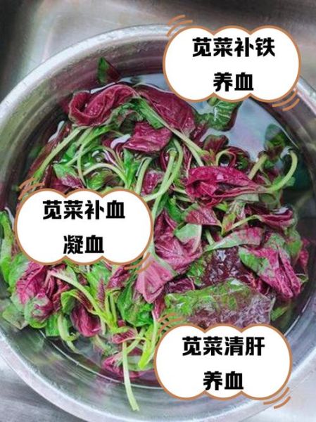 补血菜的功效与作用_补血菜怎么吃效果最好-第2张图片-山城妙识