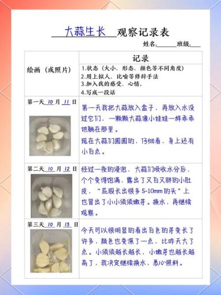 蒜苗多久能发芽_蒜苗生长过程记录-第1张图片-山城妙识