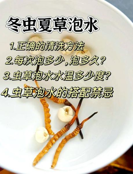 虫草花泡水一次几根_虫草花泡水用量多少合适-第2张图片-山城妙识