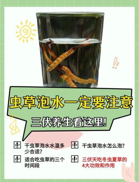 虫草花泡水一次几根_虫草花泡水用量多少合适-第1张图片-山城妙识