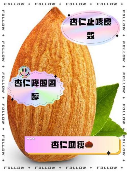 大杏仁的功效与作用_大杏仁一天吃多少合适-第1张图片-山城妙识