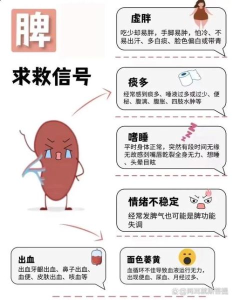 健脾胃祛湿的中成药有哪些_怎么吃才有效-第2张图片-山城妙识 健脾胃祛湿的中成药有哪些_怎么吃才有效-第2张图片-山城妙识