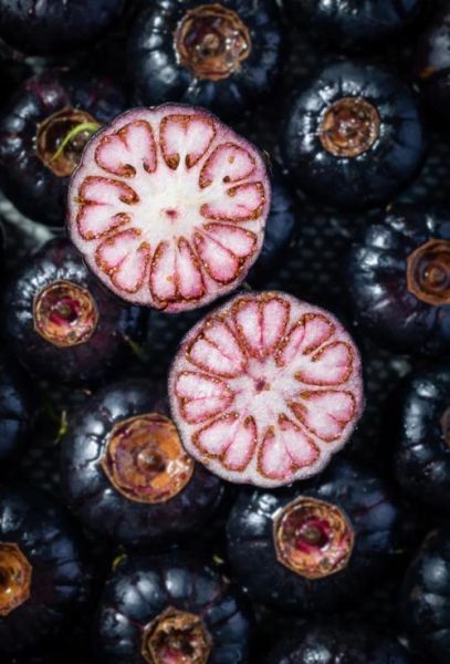 水果图片怎么拍好看_水果图片拍摄技巧-第2张图片-山城妙识 水果图片怎么拍好看_水果图片拍摄技巧-第2张图片-山城妙识