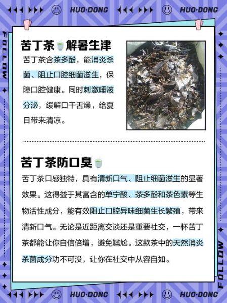 苦丁茶一天喝多少_苦丁茶喝多了会怎样-第1张图片-山城妙识 苦丁茶一天喝多少_苦丁茶喝多了会怎样-第1张图片-山城妙识