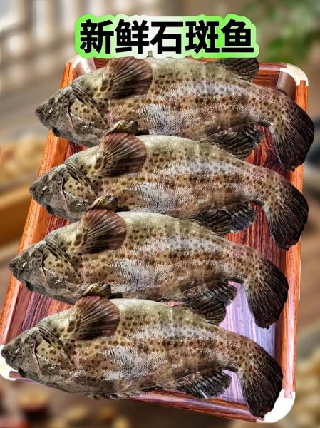 石斑鱼清蒸多久_清蒸石斑鱼怎么做-第2张图片-山城妙识 石斑鱼清蒸多久_清蒸石斑鱼怎么做-第2张图片-山城妙识