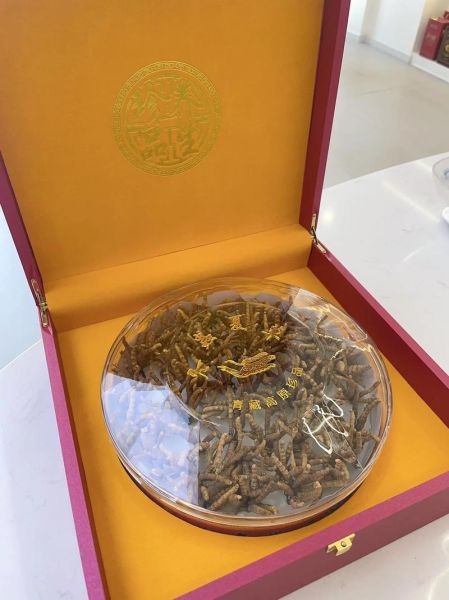 冬虫夏草泡水温度多少合适_冬虫夏草泡水一次放几根-第1张图片-山城妙识