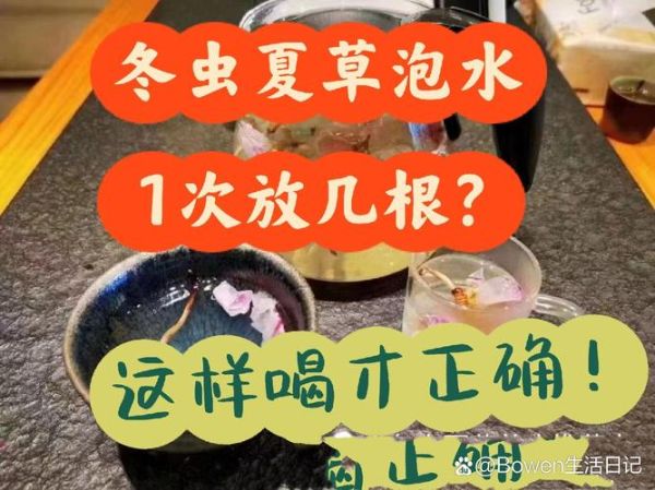 冬虫夏草泡水温度多少合适_冬虫夏草泡水一次放几根-第3张图片-山城妙识