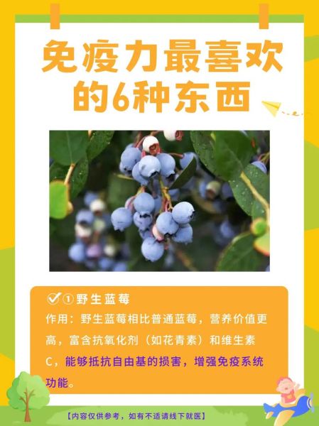 野生蓝莓的功效与作用_野生蓝莓怎么吃效果最好-第1张图片-山城妙识