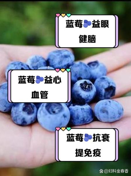 野生蓝莓的功效与作用_野生蓝莓怎么吃效果最好-第2张图片-山城妙识