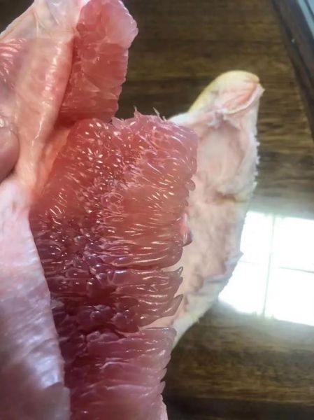 红肉蜜柚怎么挑选_红肉蜜柚营养价值高吗-第2张图片-山城妙识 红肉蜜柚怎么挑选_红肉蜜柚营养价值高吗-第2张图片-山城妙识