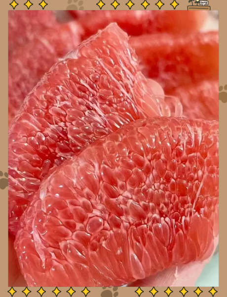 红肉蜜柚怎么挑选_红肉蜜柚营养价值高吗-第3张图片-山城妙识 红肉蜜柚怎么挑选_红肉蜜柚营养价值高吗-第3张图片-山城妙识