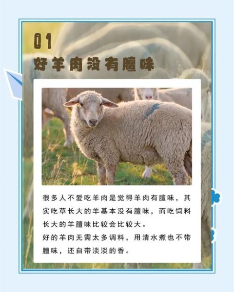 假羊肉片是什么做的_如何辨别假羊肉片-第3张图片-山城妙识