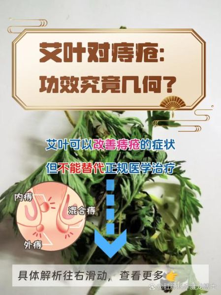 艾叶治痔疮效果好吗_怎么用艾叶治痔疮-第1张图片-山城妙识 艾叶治痔疮效果好吗_怎么用艾叶治痔疮-第1张图片-山城妙识