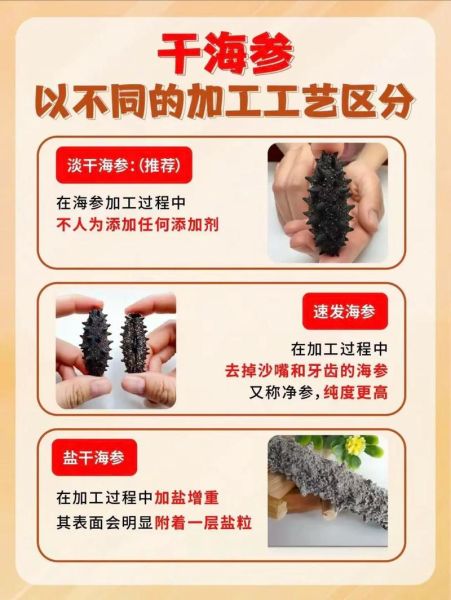 海参价格多少钱一斤_海参为什么这么贵-第2张图片-山城妙识 海参价格多少钱一斤_海参为什么这么贵-第2张图片-山城妙识
