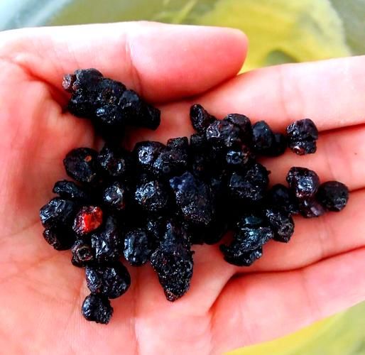 木糖醇蛋糕怎么做_木糖醇蛋糕糖尿病人能吃吗-第2张图片-山城妙识 木糖醇蛋糕怎么做_木糖醇蛋糕糖尿病人能吃吗-第2张图片-山城妙识