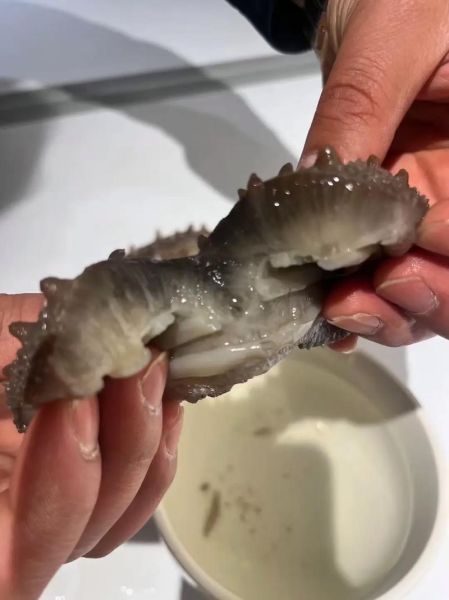 海参价格多少钱一斤_海参为什么这么贵-第3张图片-山城妙识 海参价格多少钱一斤_海参为什么这么贵-第3张图片-山城妙识