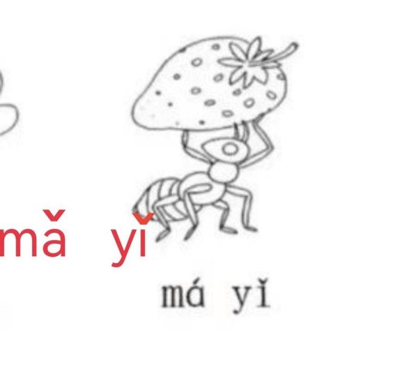 蚂蚁的拼音怎么写_蚂蚁拼音声调标注-第1张图片-山城妙识 蚂蚁的拼音怎么写_蚂蚁拼音声调标注-第1张图片-山城妙识