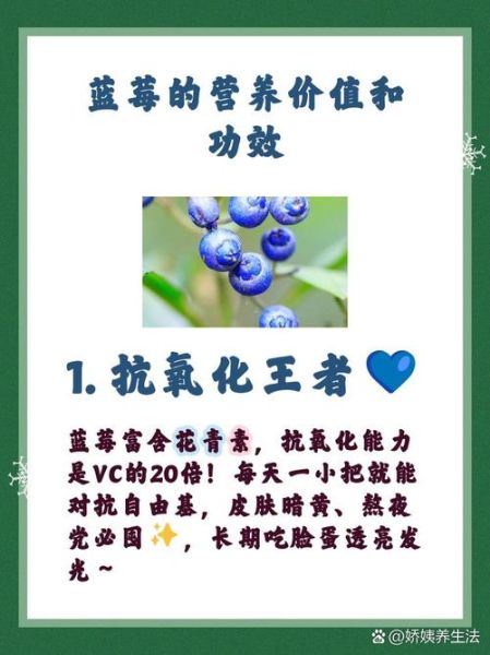 蓝莓有什么功效与作用_蓝莓一天吃多少粒最好-第3张图片-山城妙识